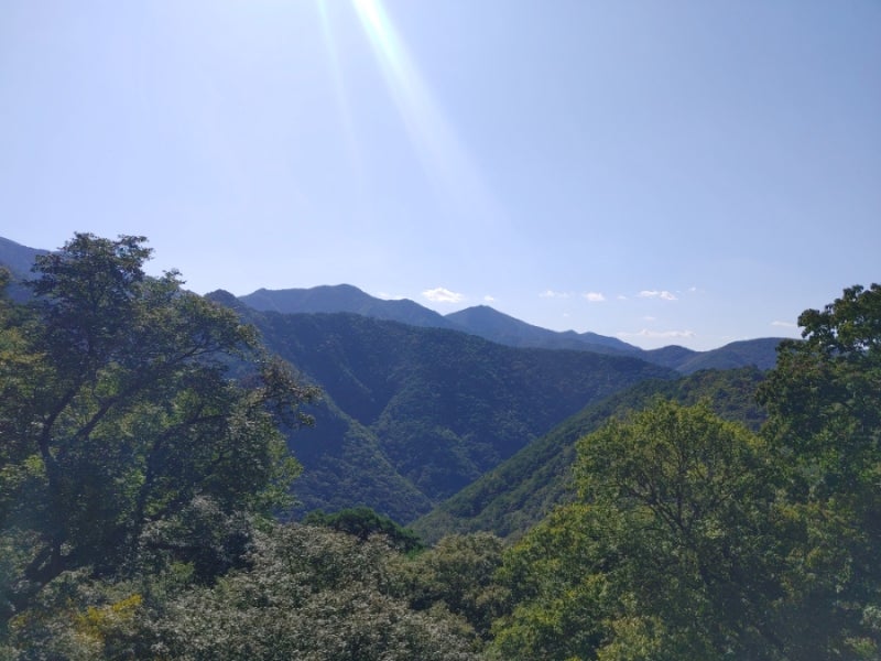 청도 운문사 사리암 산책 가볼만한 곳 주차장 추억의 장소 네이버 블로그