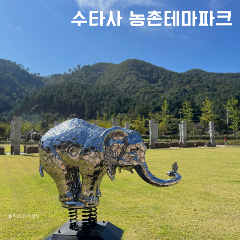 홍천 아이와 가볼만한곳 수타사 농촌테마파크 애견동반 체험 공원 네이버 블로그