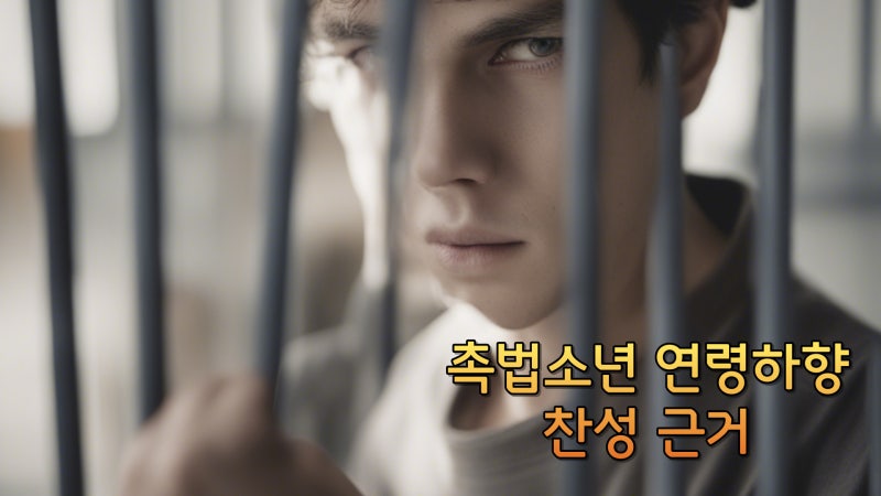 촉법소년 연령하향 찬성근거와 반대근거 총정리 네이버 블로그