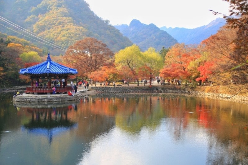 내장산 백양산 등산코스 최단코스 내장산 단풍 장성 백양사 단풍 절정시기 주차정보산행정보 네이버 블로그