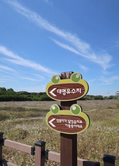 대구 10월 가볼만한 달성 습지갈대 억새명소 대명유수지 네이버 블로그