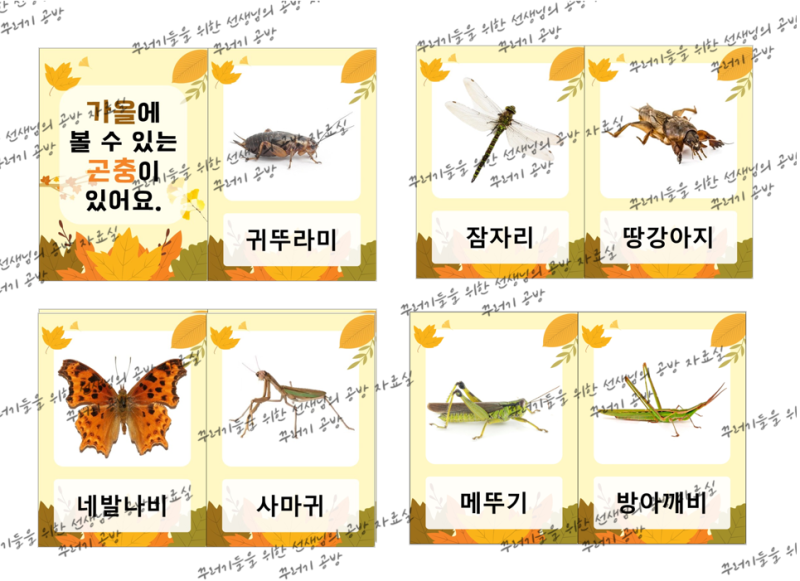 꾸러기 공방 가을 단어 카드 가을 낱말 카드 가을 환경 구성 가을 언어 영역 10월 언어영역 가을꽃