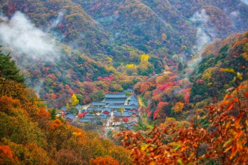 내장산 백양산 등산코스 최단코스 내장산 단풍 장성 백양사 단풍 절정시기 주차정보산행정보 네이버 블로그