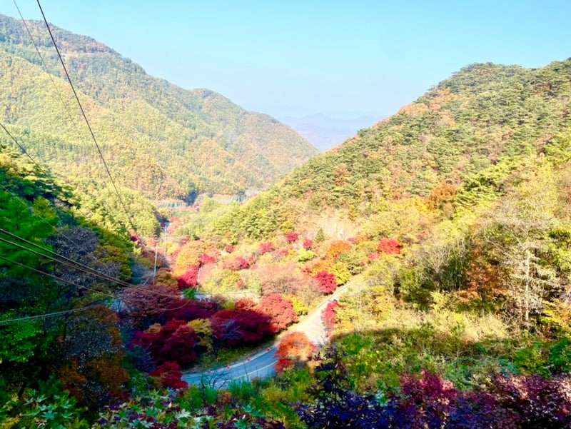 소백산 자연휴양림 정감록 And 휴양관 이용 후기 바비큐장 전망대까지 즐겨보아요 Feat 단양 단풍 여행 네이버 블로그