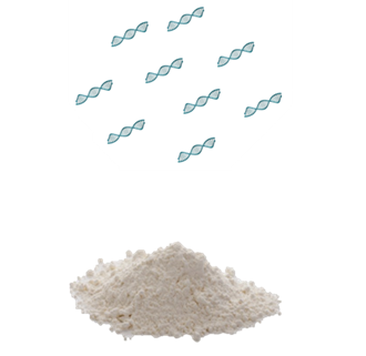 PDRN이란? (PDRN 작용기전, 효과, 적용) : 네이버 블로그