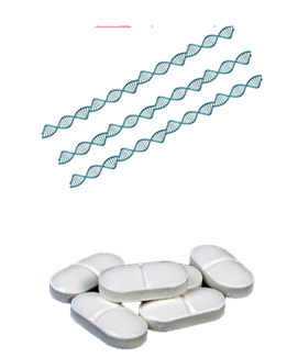 PDRN이란? (PDRN 작용기전, 효과, 적용) : 네이버 블로그