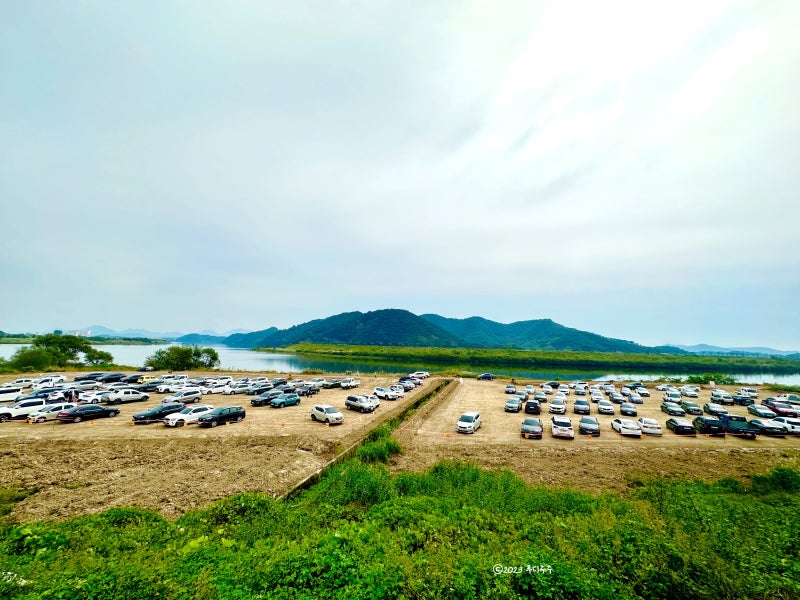 의령 댑싸리 축제 핑크뮬리 아스타국화 가을꽃 가득 호국의병의숲 친수공원 네이버 블로그