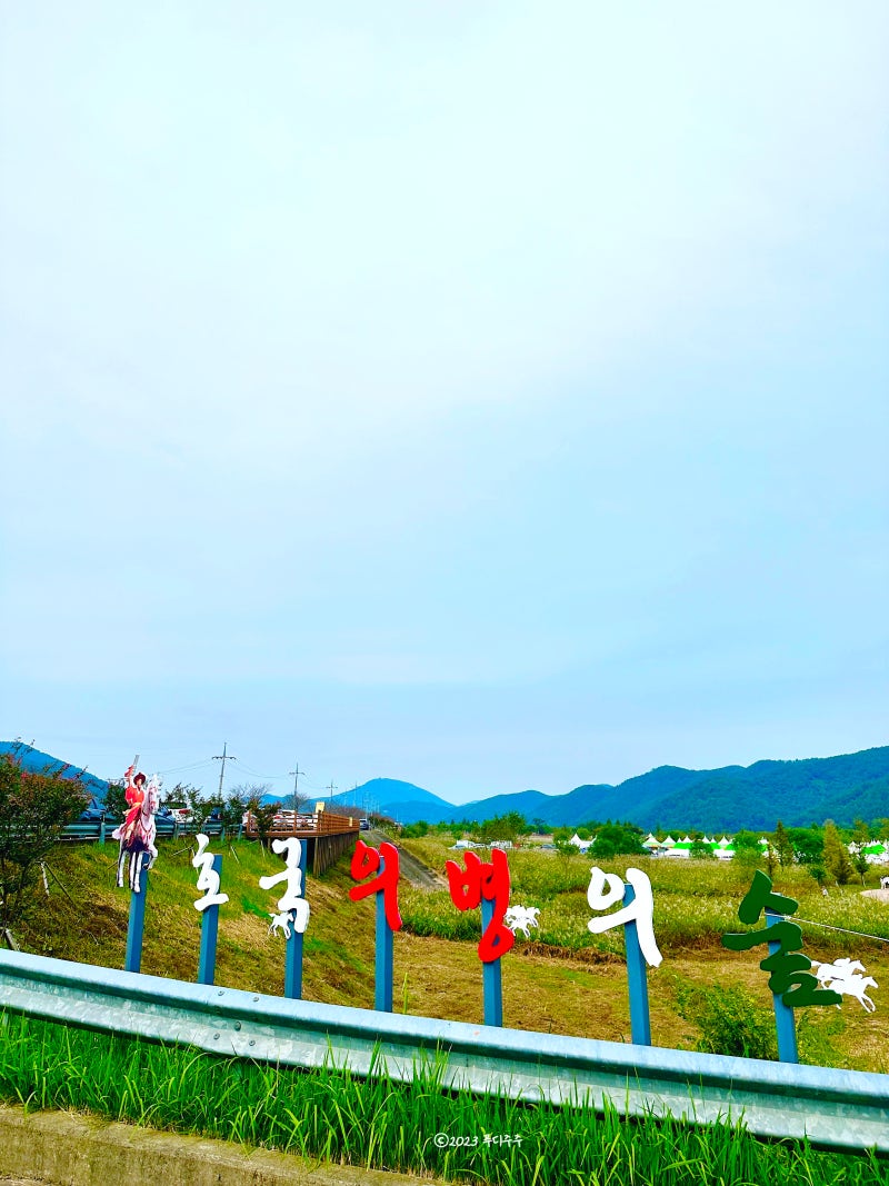 의령 댑싸리 축제 핑크뮬리 아스타국화 가을꽃 가득 호국의병의숲 친수공원 네이버 블로그