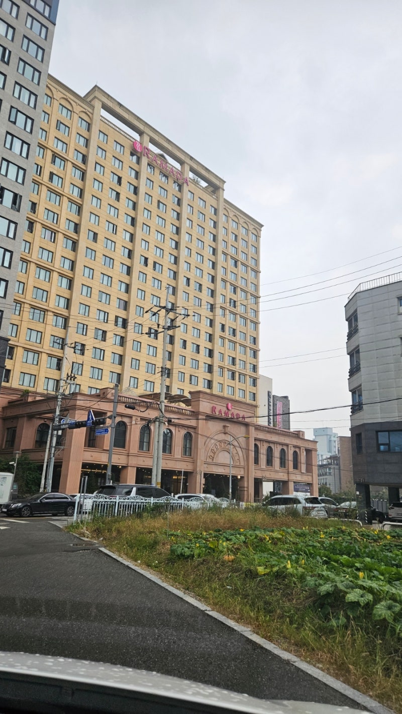 에버랜드 근처 용인 라마다호텔 디럭스쿼드룸 후기 네이버 블로그