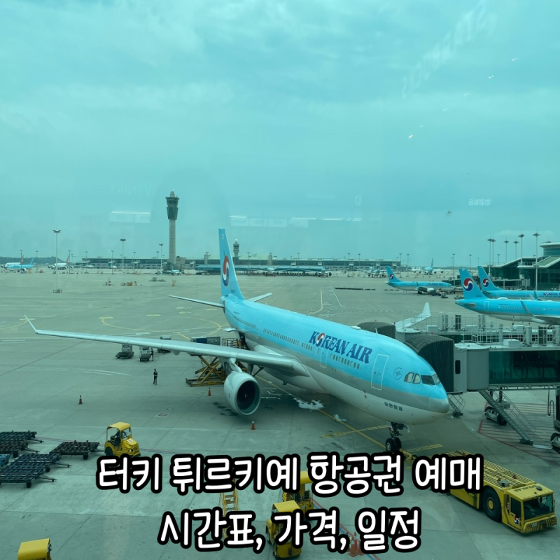 터키여행 인천 이스탄불 직항 경우 비행기 시간표 및 가격 총정리예약 네이버 블로그