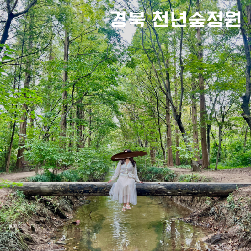 경주 산림환경연구원 경북천년숲정원 운영시간 입장료 주차장 네이버 블로그