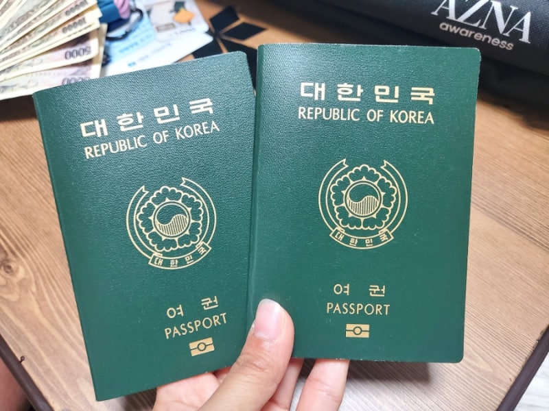 일본여행 준비물 체크리스트 11 총정리 필요 서류 돼지코 등 짐싸기 팁 네이버 블로그