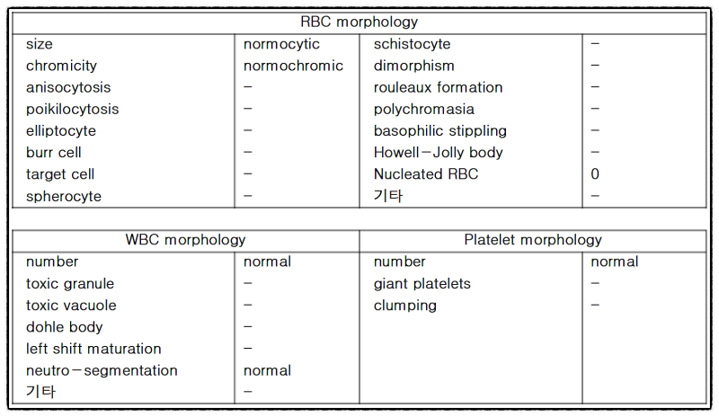 PB Smear 말초 혈액 도말 Blood Cell Morphology 혈구 형태 검사 알아보기 : 네이버 블로그