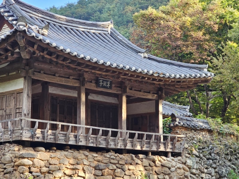 경북 예천 가볼만한곳 회룡포 전망대 초간정 예천 Tv따라 가을 여행지 네이버 블로그