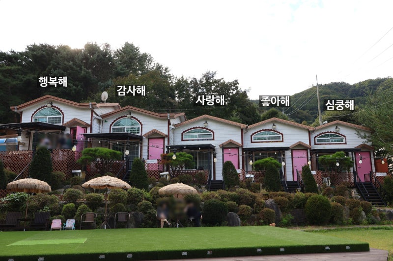 포천 애견동반펜션 강아지 찜질방 있는 포포애견펜션 네이버 블로그