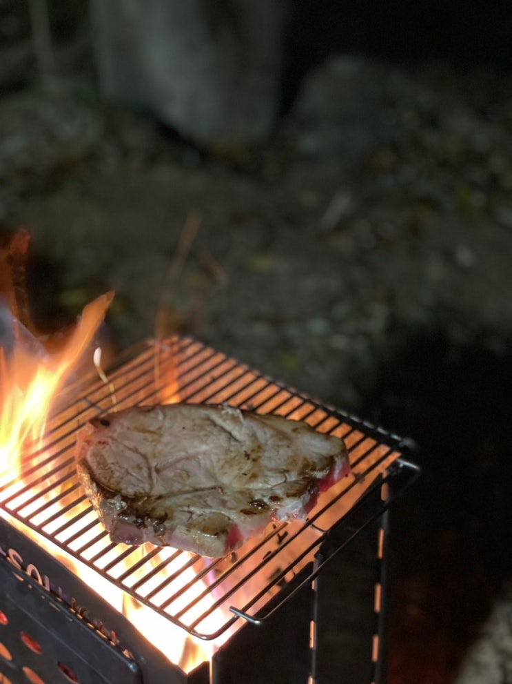 캠핑장에서 즐기는 맛있는 캠핑고기 바베큐 돈마호크 스테이크 굿굿