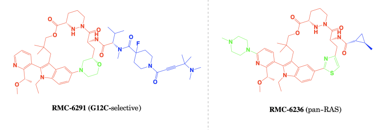 [RVMD] RMC-6236/-6291, 임상 1/1b상, AACR-NCI-EORTC 중간결과 발표 : 네이버 블로그