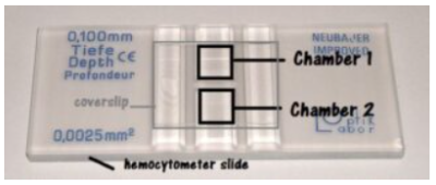[미생물] Hemocytometer (=Counting chamber) 원리/계산법 쉽게 이해하기! : 네이버 블로그