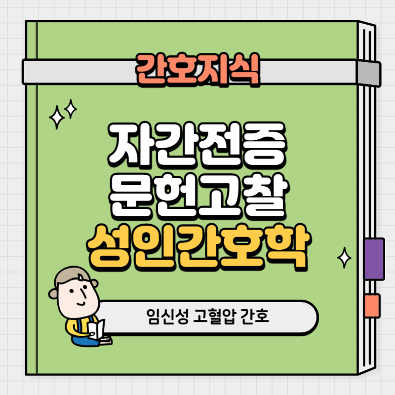 여성간호학 자간전증임신성고혈압임신중독증 Pih 문헌고찰 네이버 블로그
