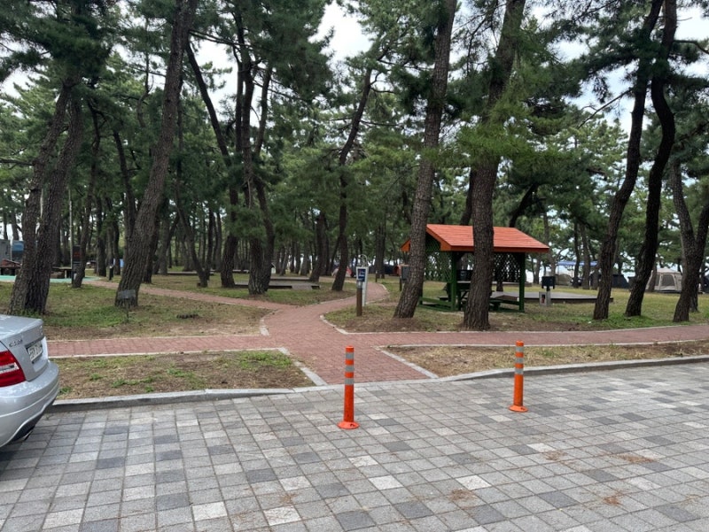 강릉 연곡솔향기 캠핑장 명당 및 예약 팁 : 네이버 블로그