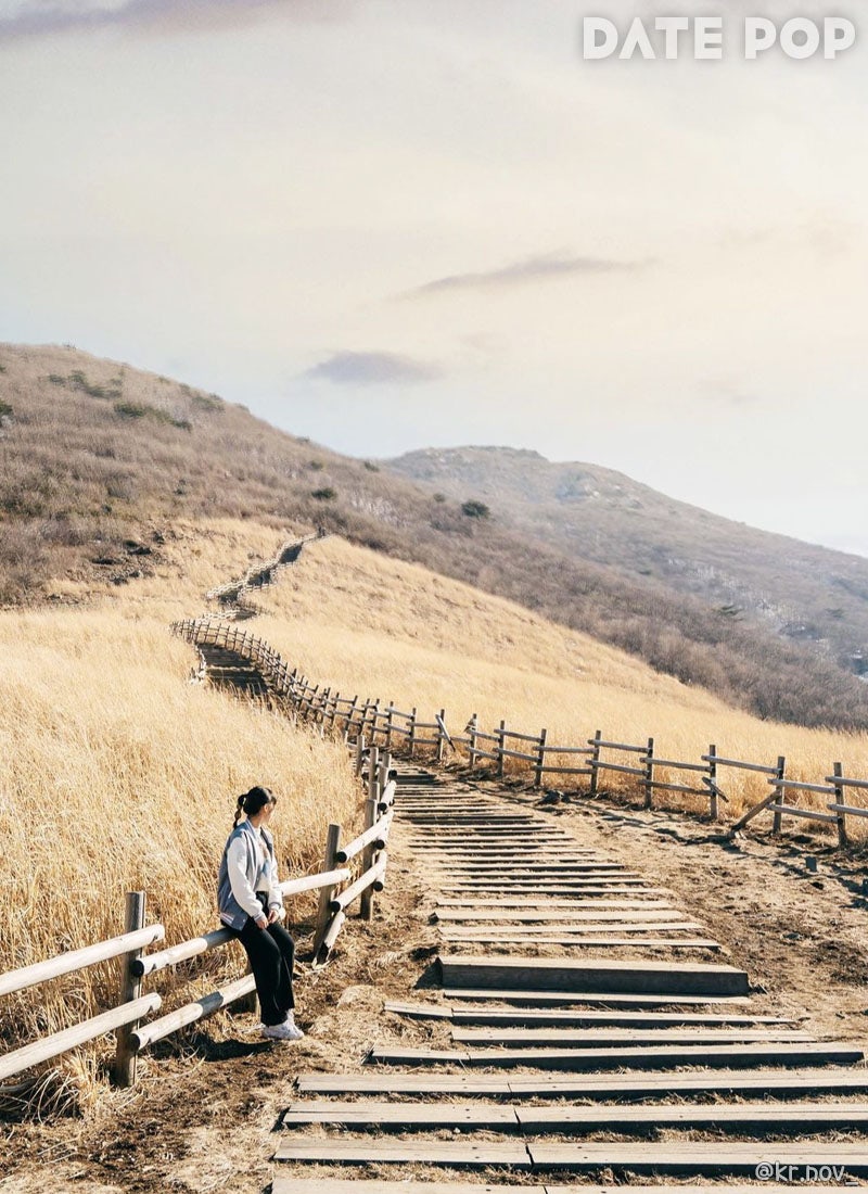 울산 가볼만한곳으로 떠난 놀거리 위주 여행 코스 네이버 블로그