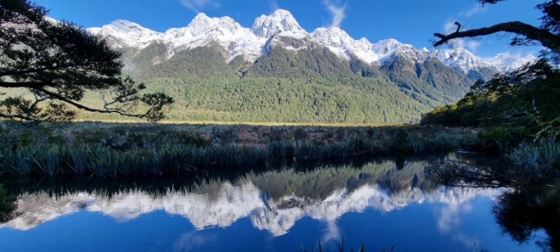 [뉴질랜드 남섬여행] 피오르드랜드 국립공원, 에글린턴 계곡 거울호수, 밀포드사운드 : 네이버 블로그