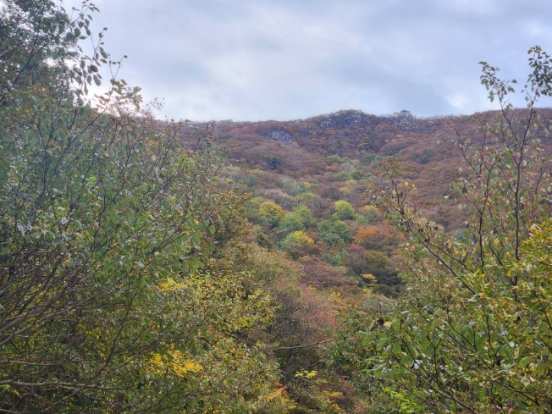 울산 간월재 억새 등산 초보자 코스사슴농장 코스 주차장소요시간 네이버 블로그