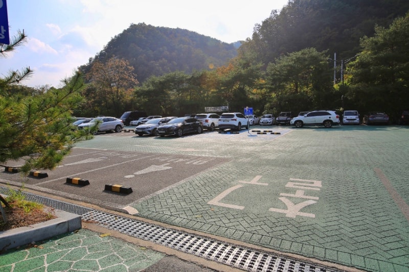 단양 잔도길 가을에 걷기좋은 단양 여행 코스 가볼만한곳 단양강 잔도길 주차장입장료 네이버 블로그