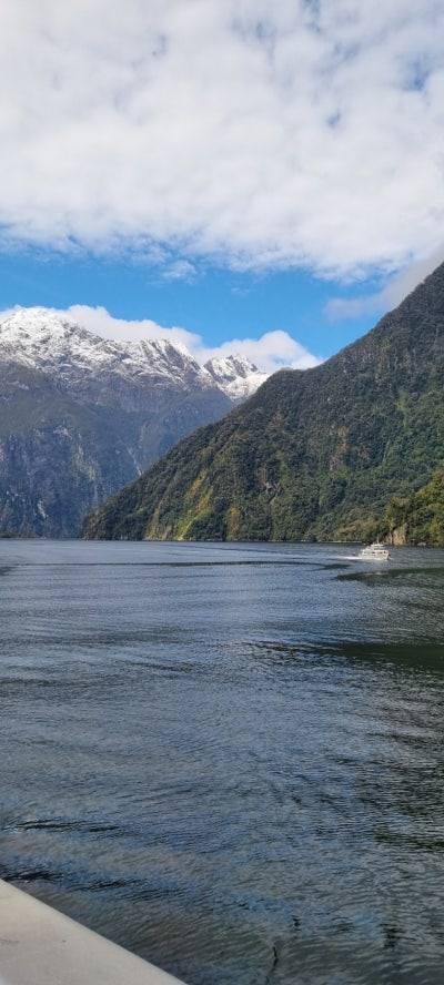[뉴질랜드 남섬여행] 피오르드랜드 국립공원, 에글린턴 계곡 거울호수, 밀포드사운드 : 네이버 블로그