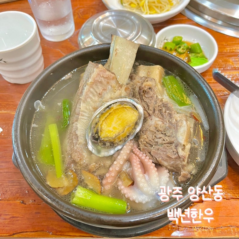 광주 양산동 맛집 가족끼리 외식하기 좋은 백년한우 복날 몸보신할 수 있는 곳 내돈내산 후기 네이버 블로그