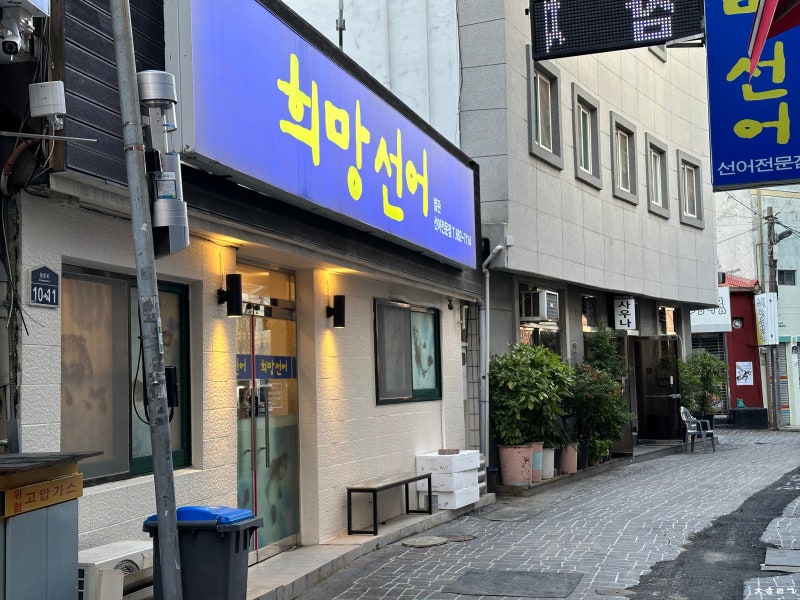 여수 희망선어 이순신광장 선어회 맛집 네이버 블로그