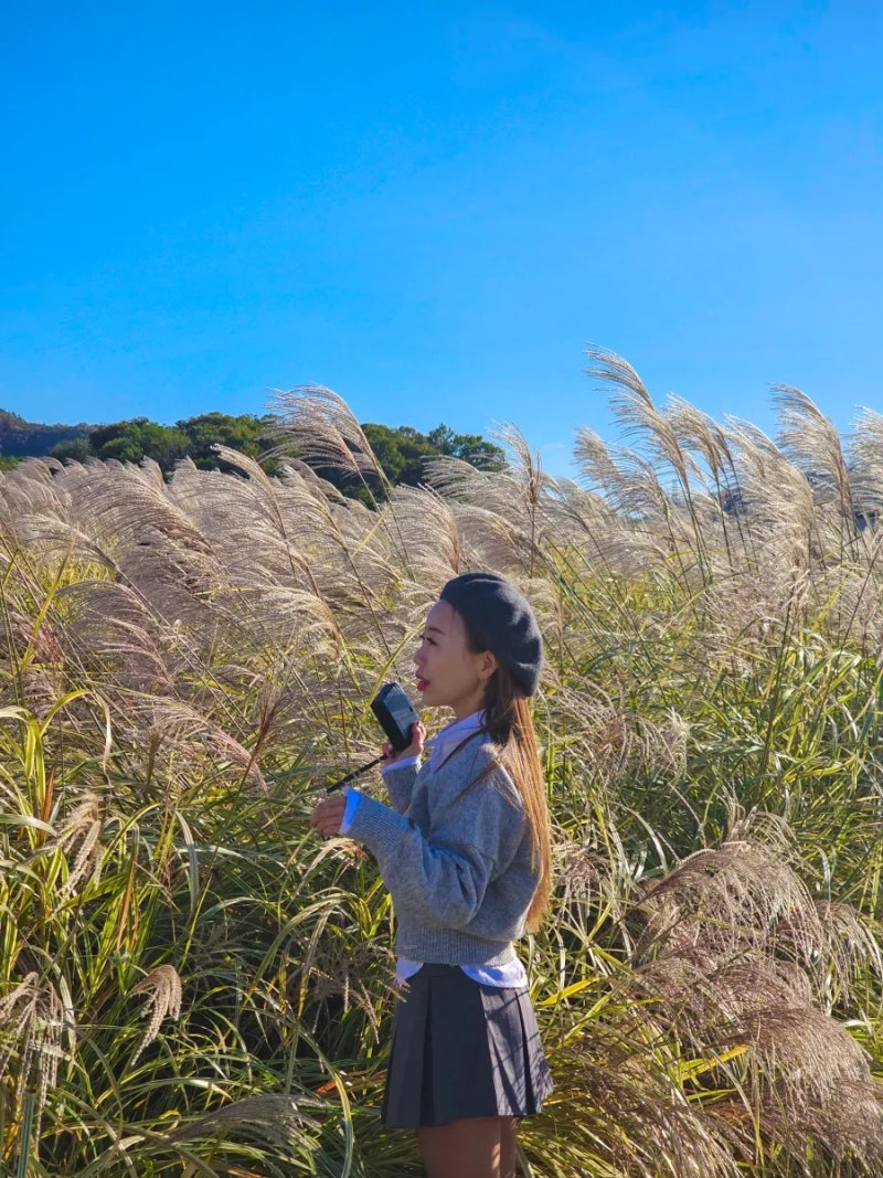 양주 나리공원나리농원 핑크뮬리 팜파스 다양한 꽃구경을 할 수 있는 가을명소 네이버 블로그