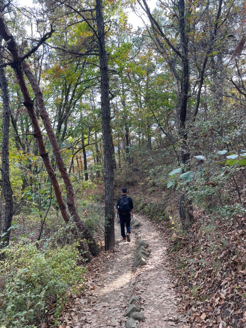 관악산 사당코스 사당역~정상~서울대공대 소요시간 자운암능선 인근김밥집 네이버 블로그