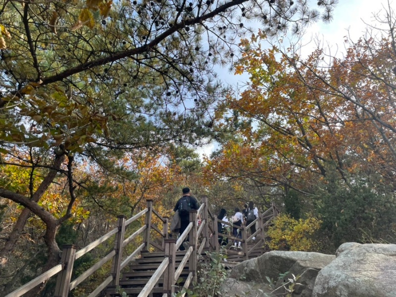 관악산 사당코스 사당역~정상~서울대공대 소요시간 자운암능선 인근김밥집 네이버 블로그