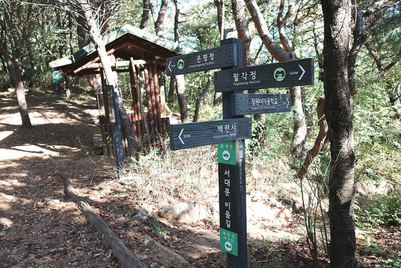 동네 뒷산 백련산 등산 북한산 둘레길까지 서울 초보 등산 코스 네이버 블로그