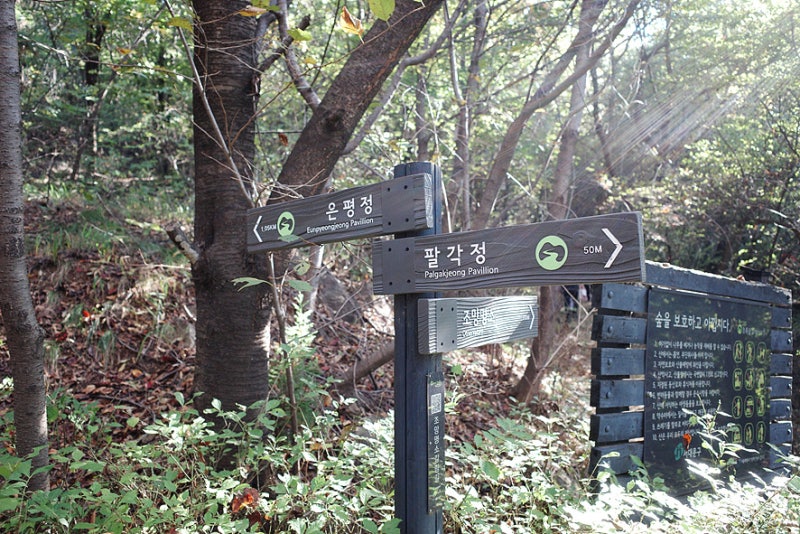 동네 뒷산 백련산 등산 북한산 둘레길까지 서울 초보 등산 코스 네이버 블로그