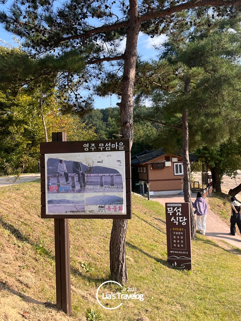 영주 무섬마을 외나무다리 힐링하기 좋은 여행코스 주차팁 네이버 블로그