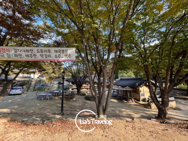영주 무섬마을 외나무다리 힐링하기 좋은 여행코스 주차팁 네이버 블로그