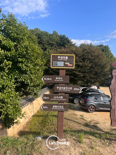 영주 무섬마을 외나무다리 힐링하기 좋은 여행코스 주차팁 네이버 블로그