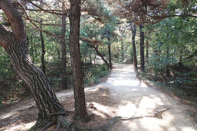 동네 뒷산 백련산 등산 북한산 둘레길까지 서울 초보 등산 코스 네이버 블로그