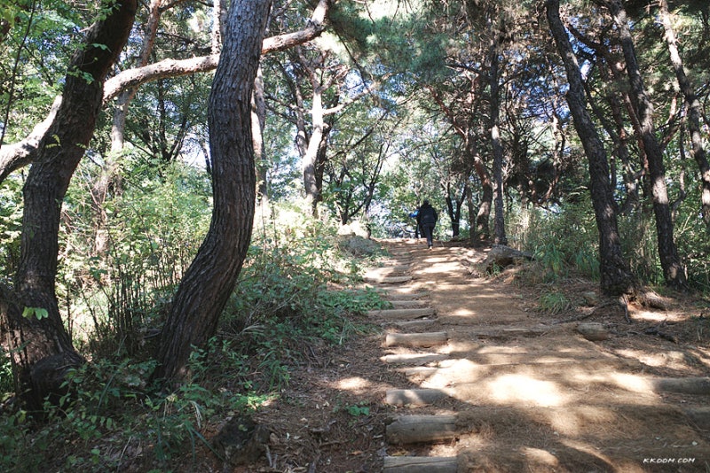 동네 뒷산 백련산 등산 북한산 둘레길까지 서울 초보 등산 코스 네이버 블로그