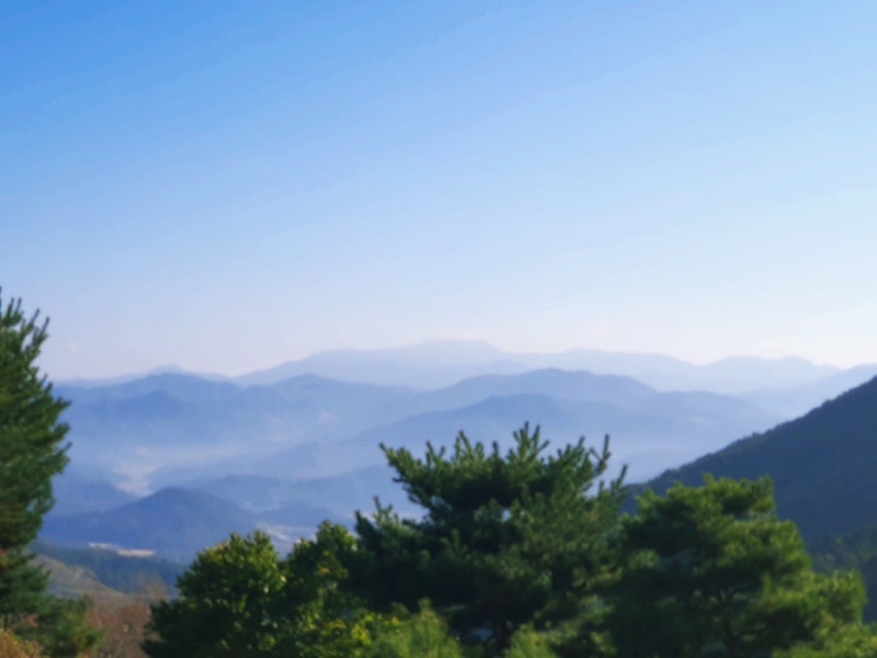 경남 산청 숙소 동의보감촌 한방자연휴양림 숲속휴양관 후기 팁 네이버 블로그