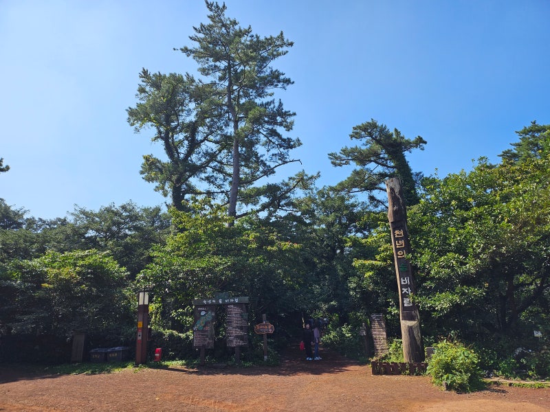 제주도 동쪽 가볼만한 곳 비자림 Feat 코스 소요 시간 입장료 정보 네이버 블로그