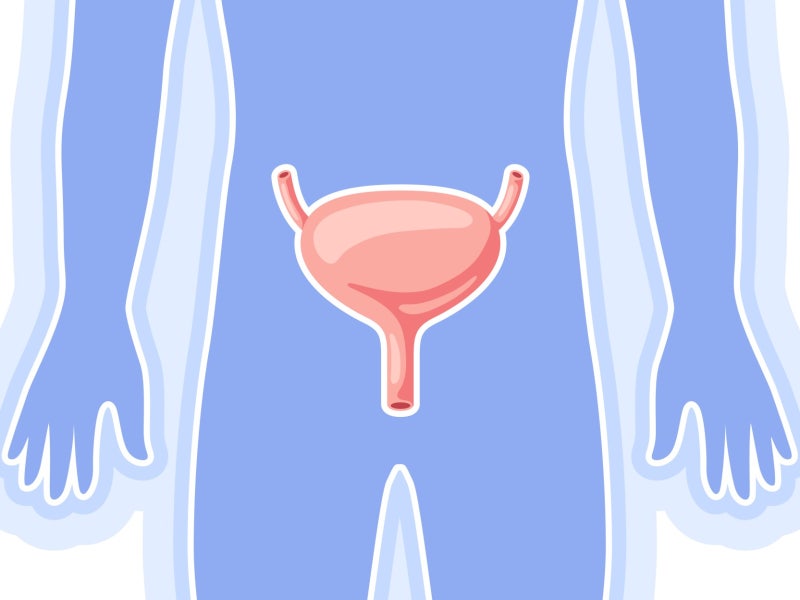 여성 하복부초음파골반초음파 검사 방법 소변 참기 등 준비사항 살펴보기 네이버 블로그