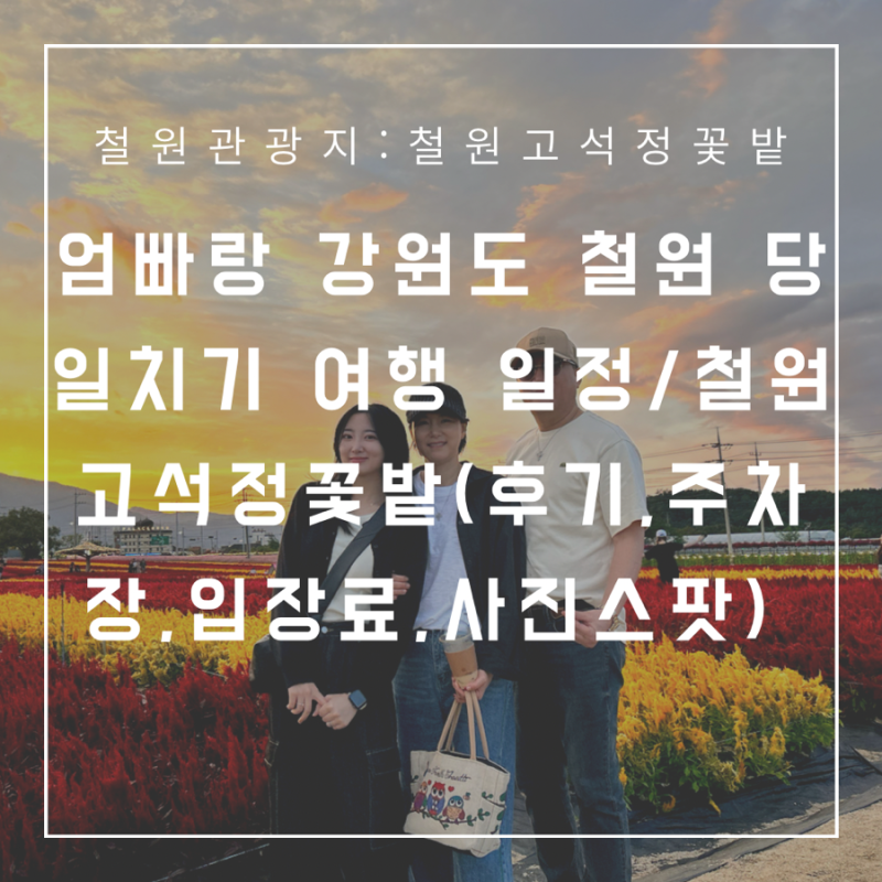 국내여행지 추천 강원도 철원 고석정 꽃밭🌸고석정 입장료 주차장 포토스팟철원 당일치기 여행 일정 네이버 블로그
