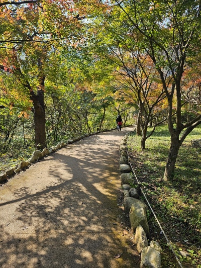 전라북도 정읍 내장산 등산코스 주차장~내장사~까치봉~신선봉~연자봉~전망대 단풍절정시기 네이버 블로그