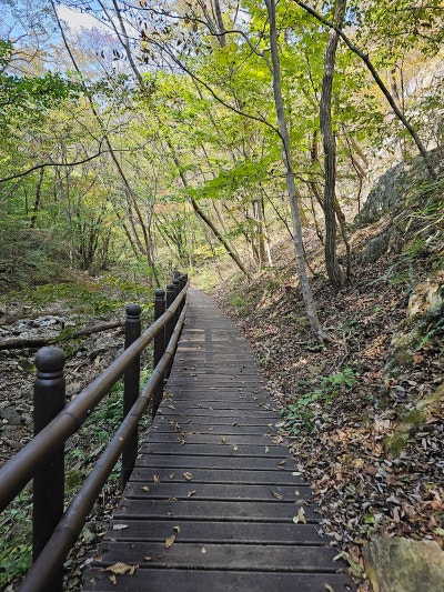 전라북도 정읍 내장산 등산코스 주차장~내장사~까치봉~신선봉~연자봉~전망대 단풍절정시기 네이버 블로그