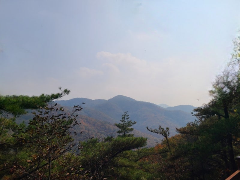 천안 태조산 등산코스태조산 공원주차장~태조봉~대머리봉~천안보훈공원~원점 네이버 블로그