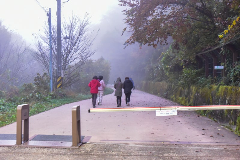 청송 가볼만한곳 청송 주산지 단풍 물안개 And 주차장 안내 네이버 블로그