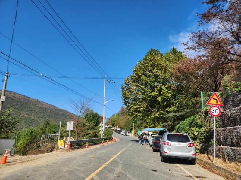 울산 간월재 억새 등산 초보자 코스사슴농장 코스 주차장소요시간 네이버 블로그